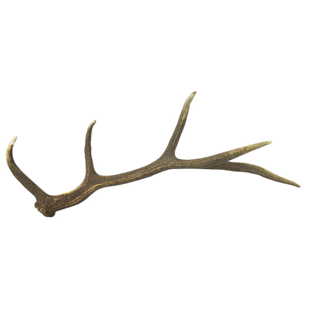 ABWURFSTANGE ROTHIRSCH – Le Chalet Noir